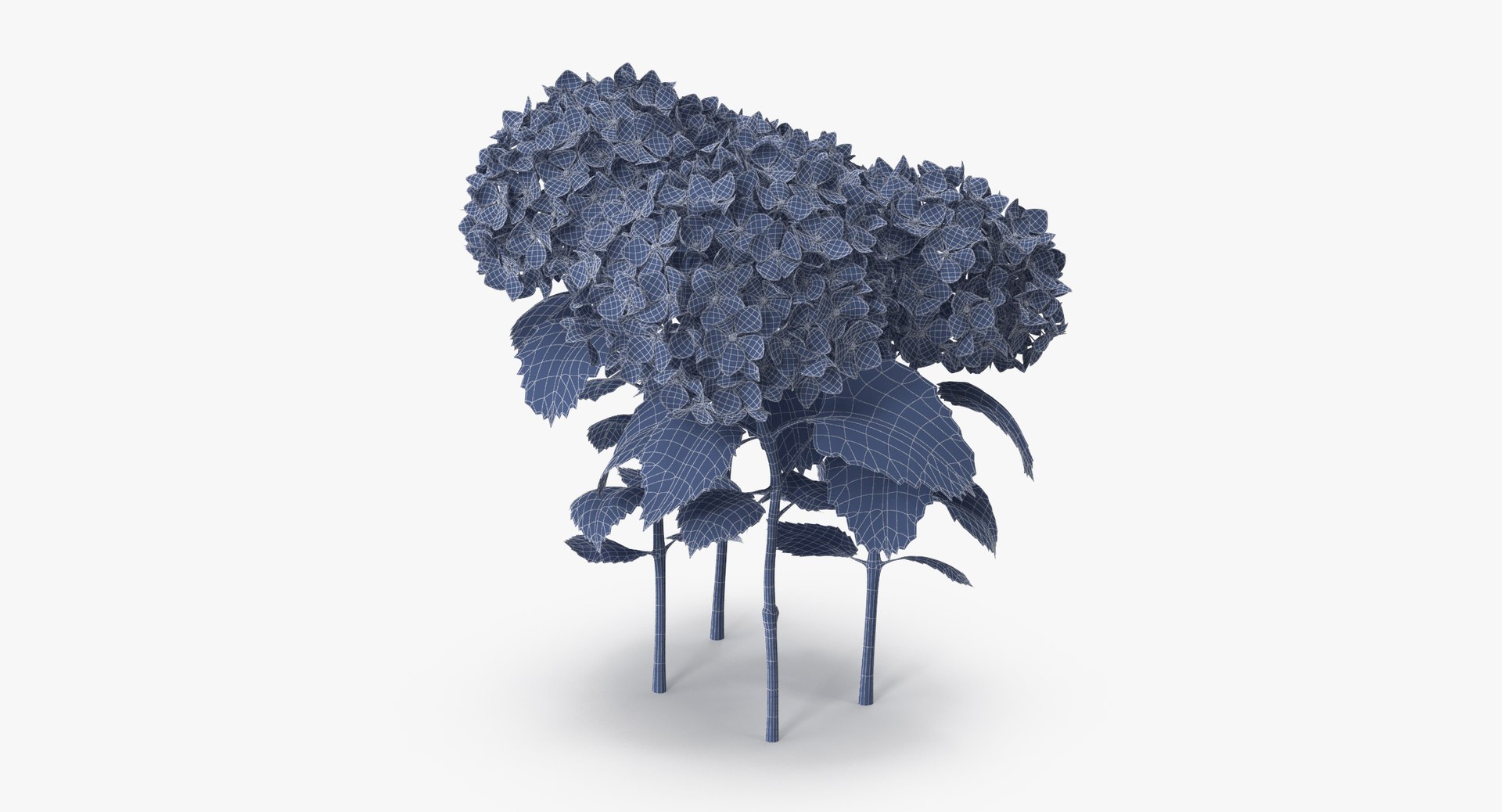 Hydrangeas Natural Group - 3d Max