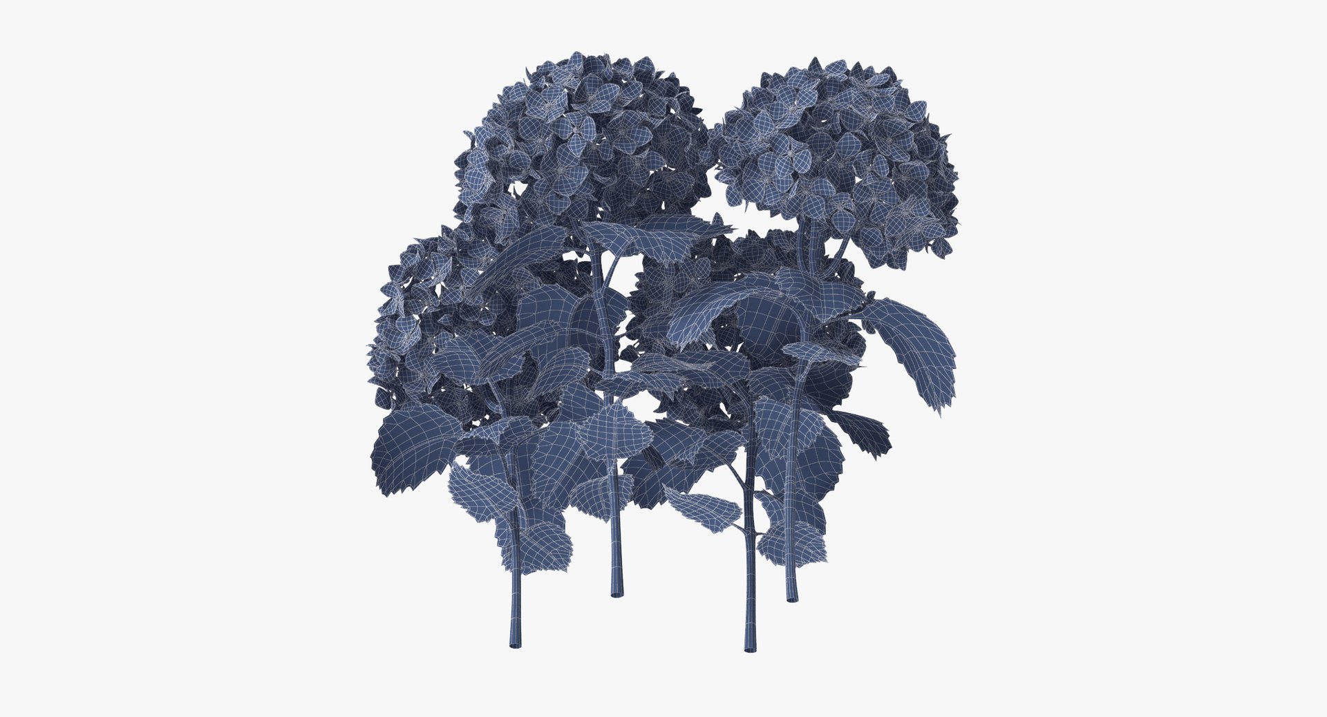 Hydrangeas Natural Group - 3d Max