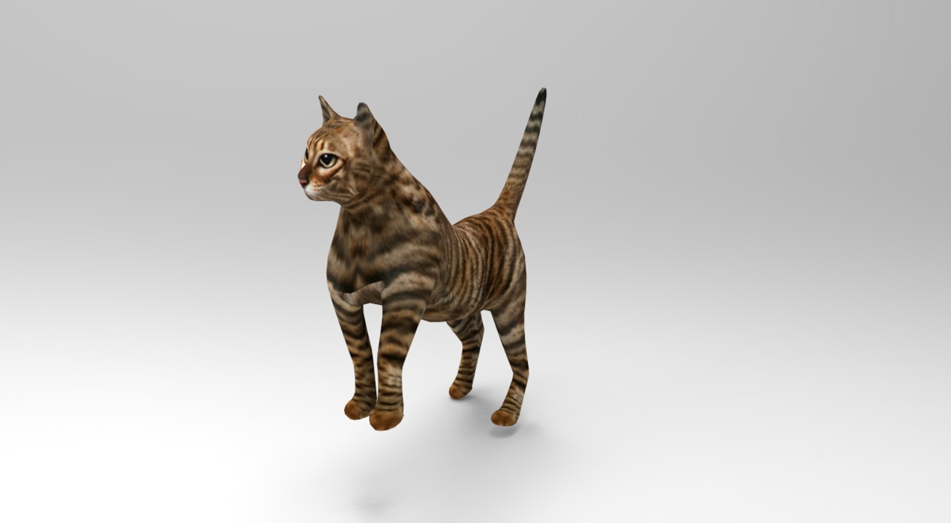 3D cat animations model | 1142799 | TurboSquid