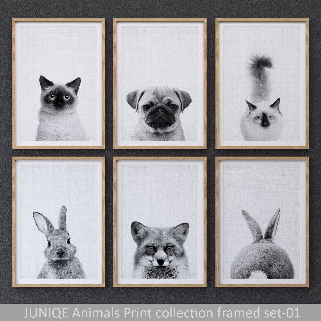 Juniqe Animals Print Framed Model - TurboSquid 1156959