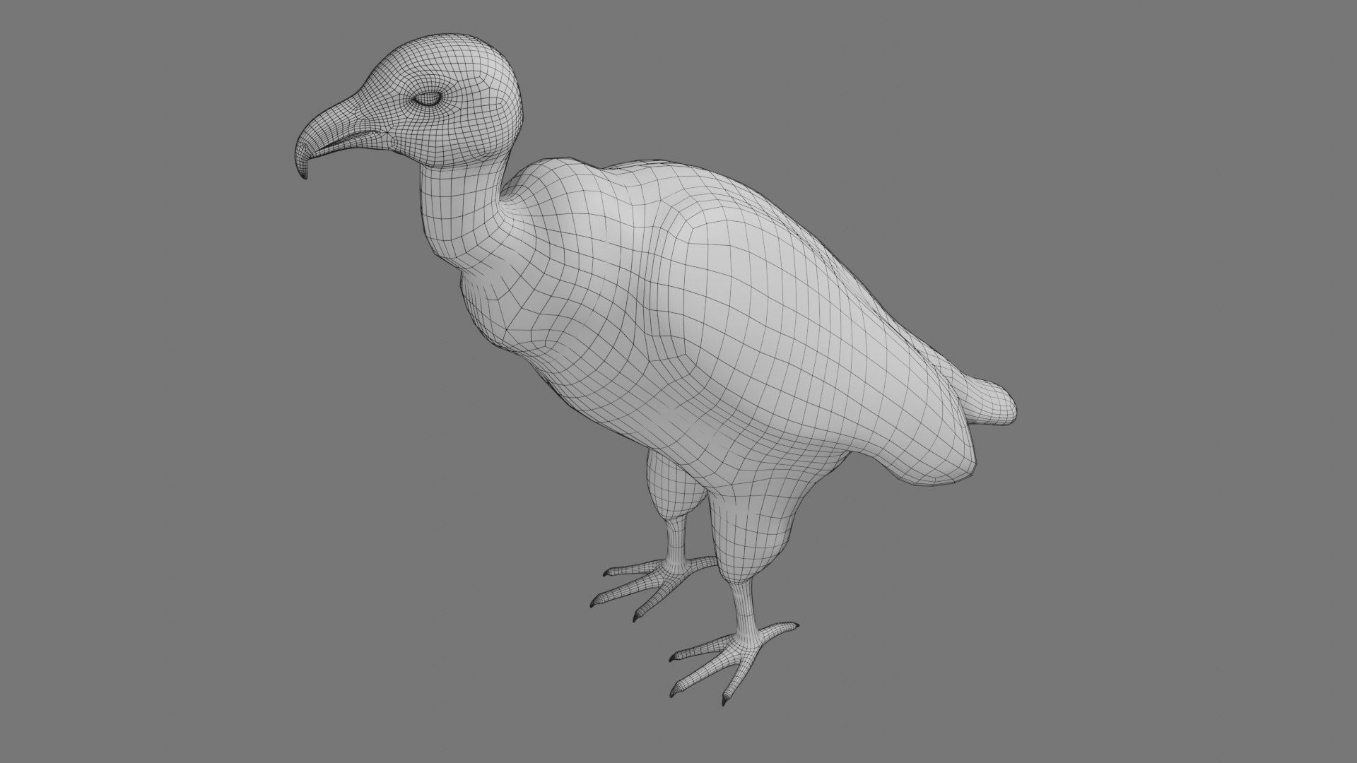 Vulture bird rigged 3D model - TurboSquid 1654398