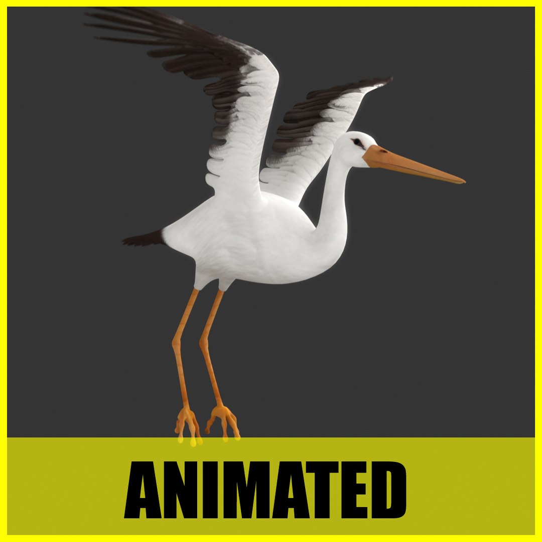 3d Stork Flying Animation Model