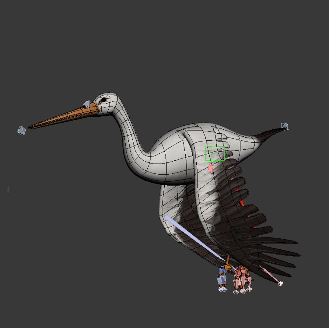 3d Stork Flying Animation Model