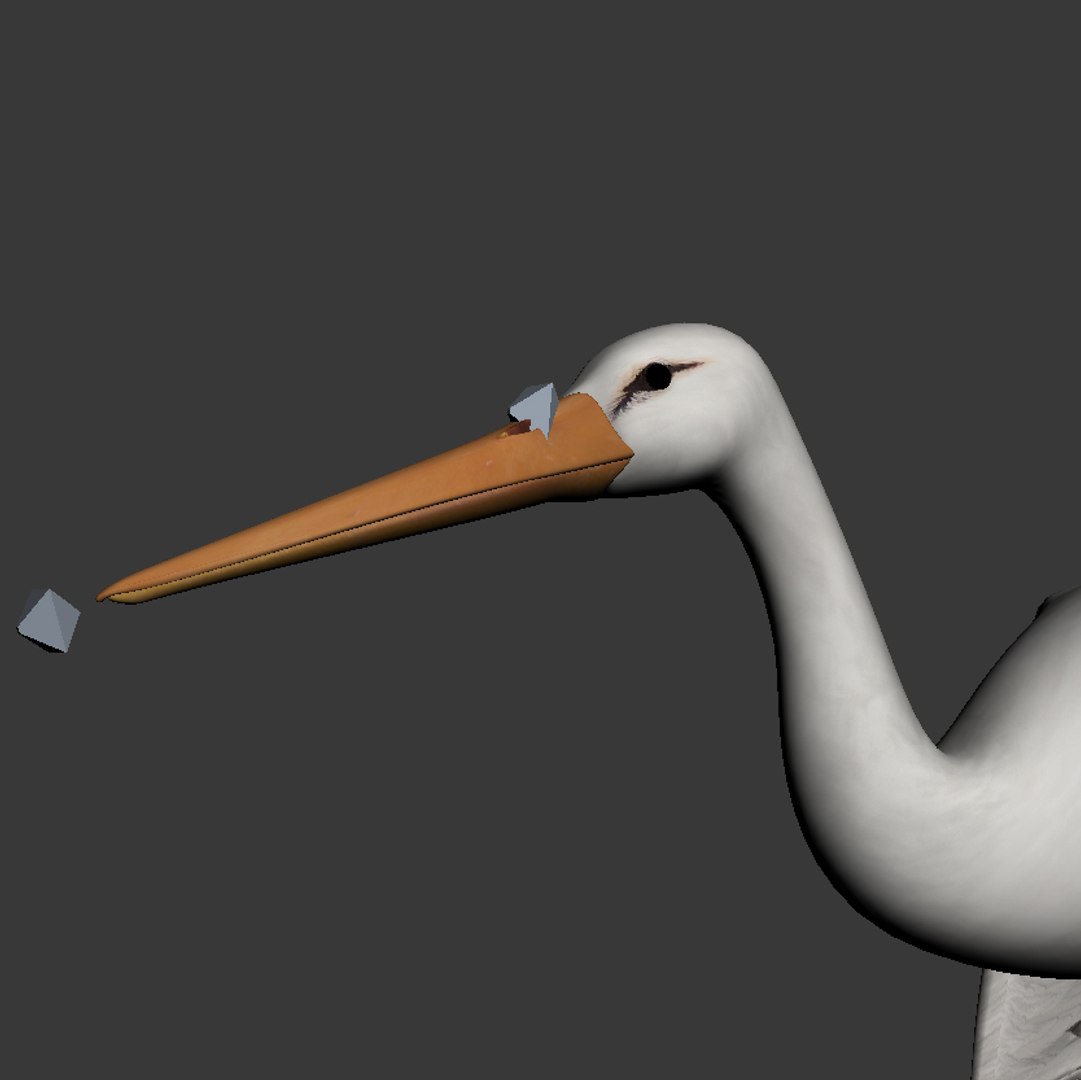3d Stork Flying Animation Model
