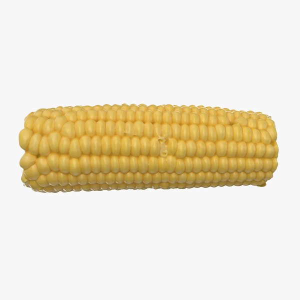 Corn On The Cob 3D Models for Download | TurboSquid