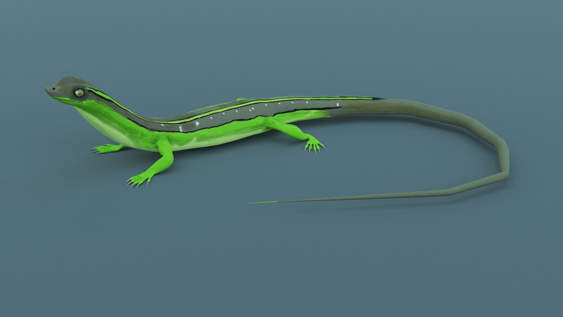 Lizard - Low Poly - Game Ready - PBR - Rigged - PBR 3D model ...