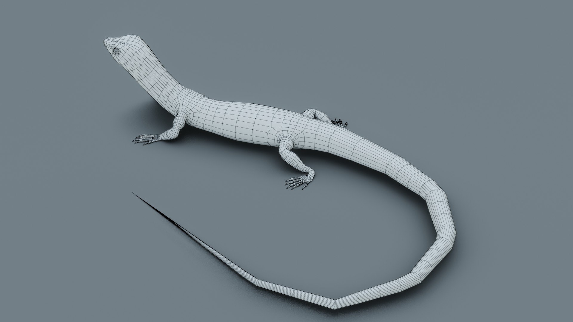 Lizard - Low Poly - Game Ready - PBR - Rigged - PBR 3D Model ...