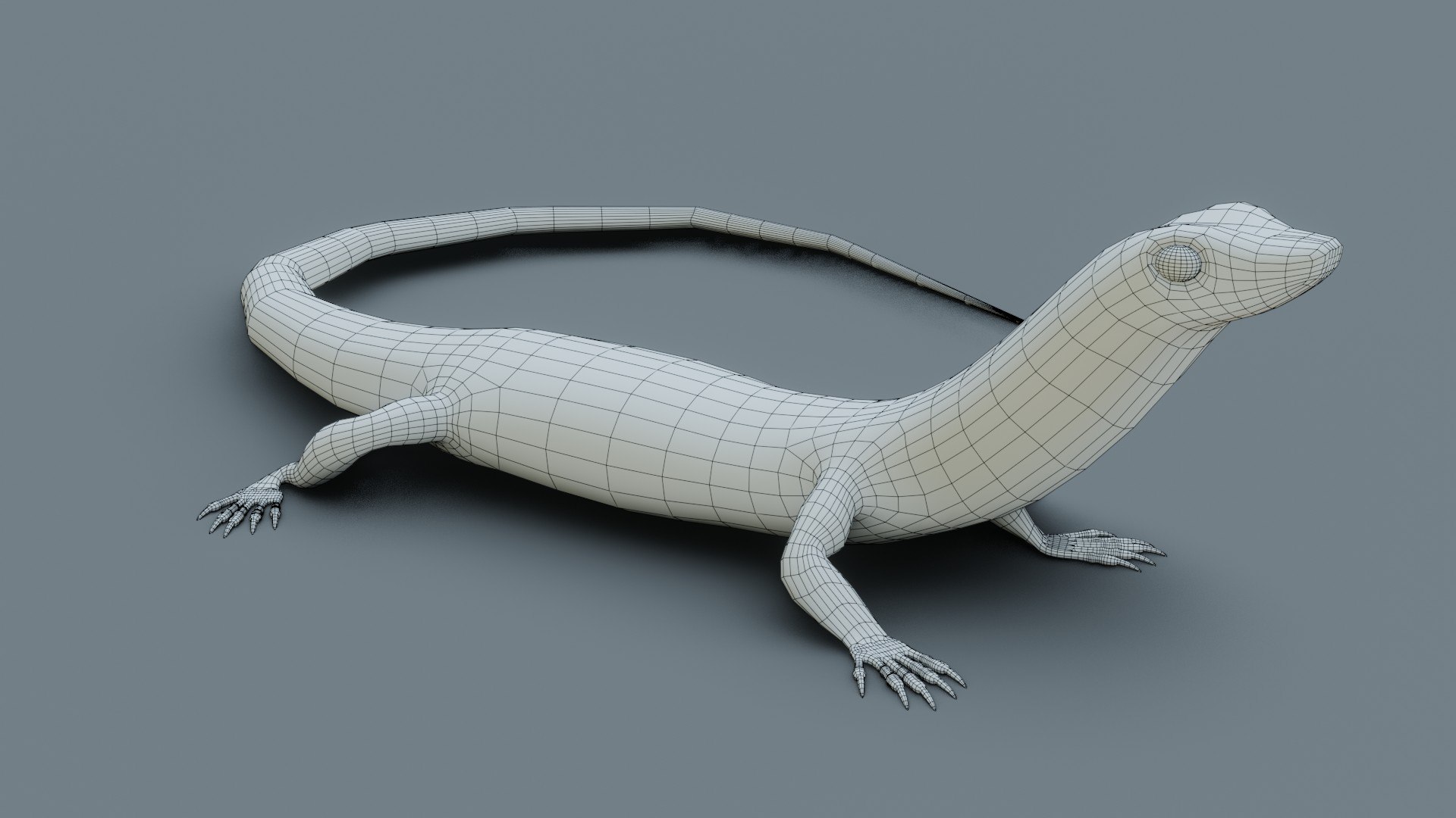 Lizard - Low Poly - Game Ready - PBR - Rigged - PBR 3D Model ...