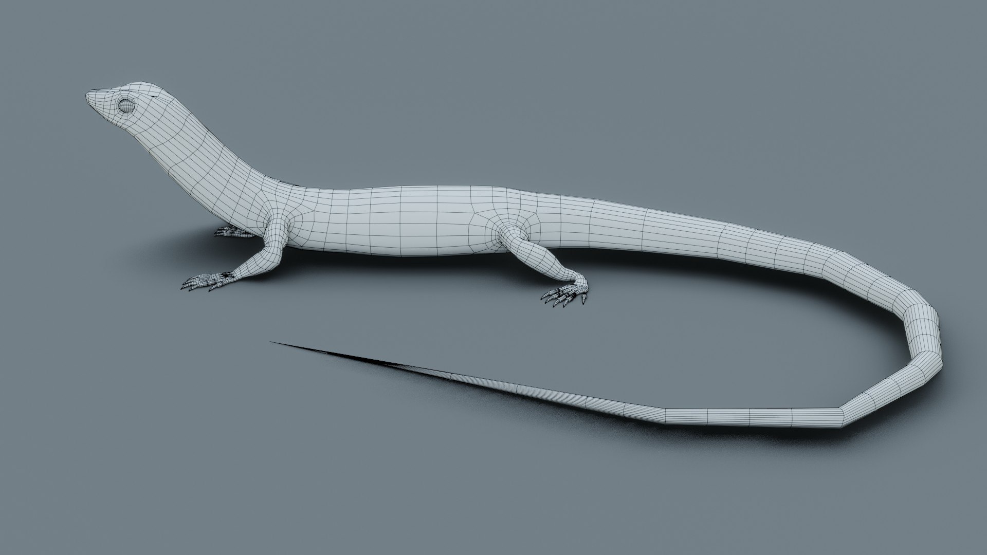 Lizard - Low Poly - Game Ready - PBR - Rigged - PBR 3D model ...