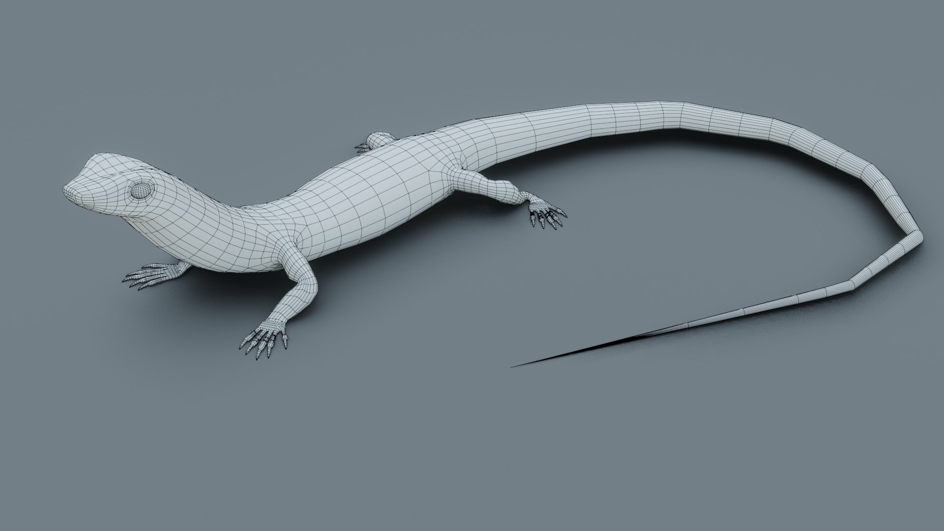Lizard - Low Poly - Game Ready - PBR - Rigged - PBR 3D Model ...