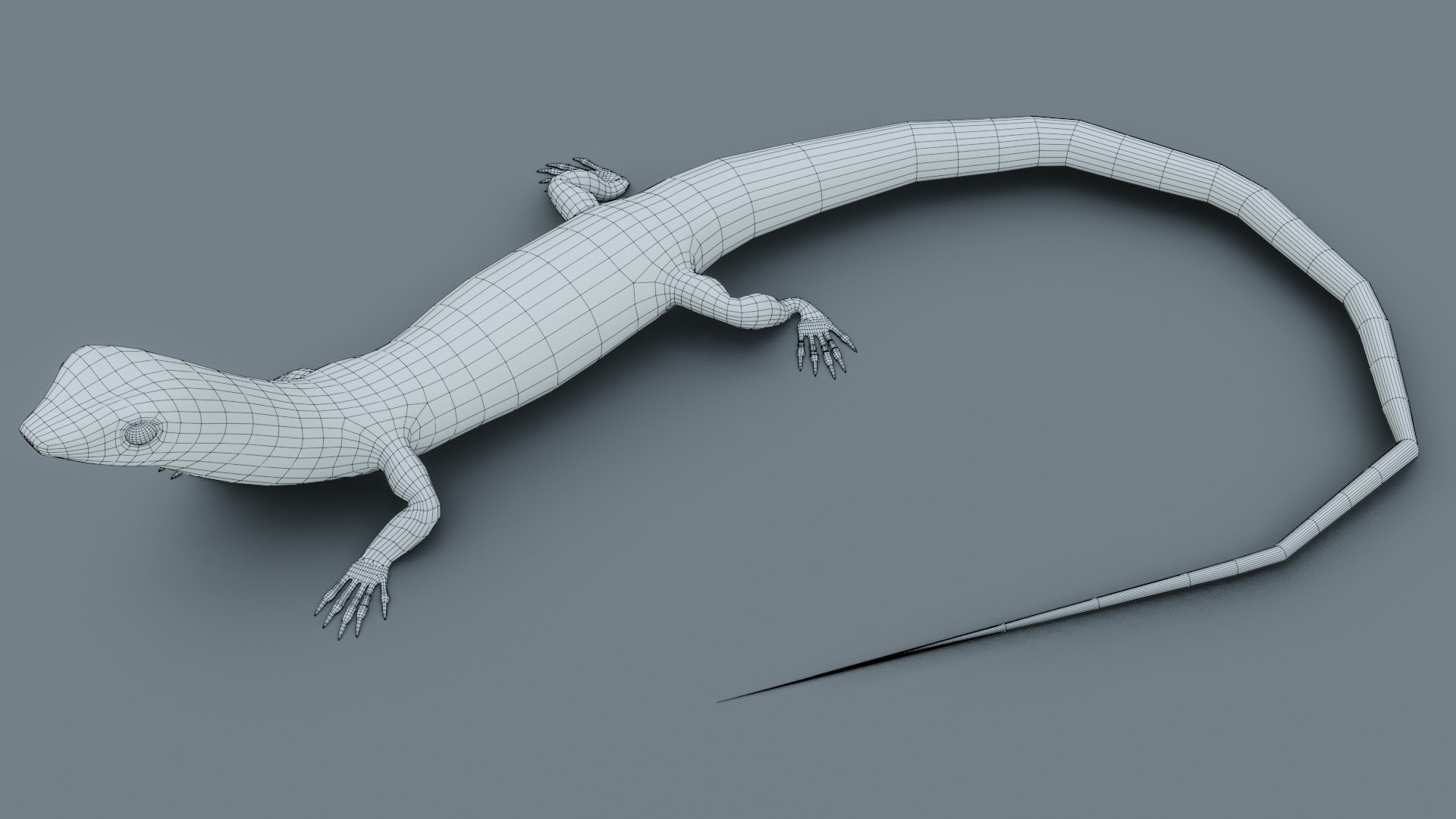 Lizard - Low Poly - Game Ready - PBR - Rigged - PBR 3D Model ...