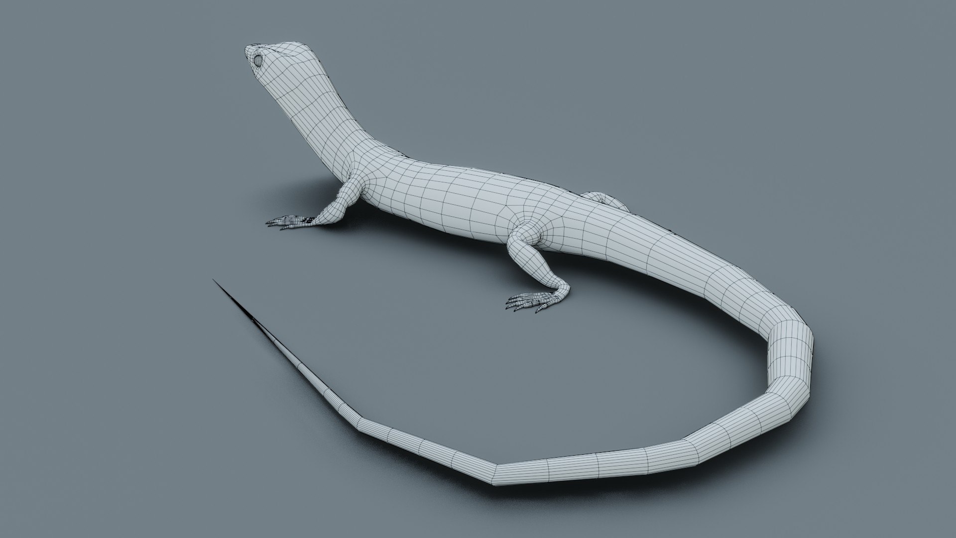 Lizard - Low Poly - Game Ready - PBR - Rigged - PBR 3D Model ...