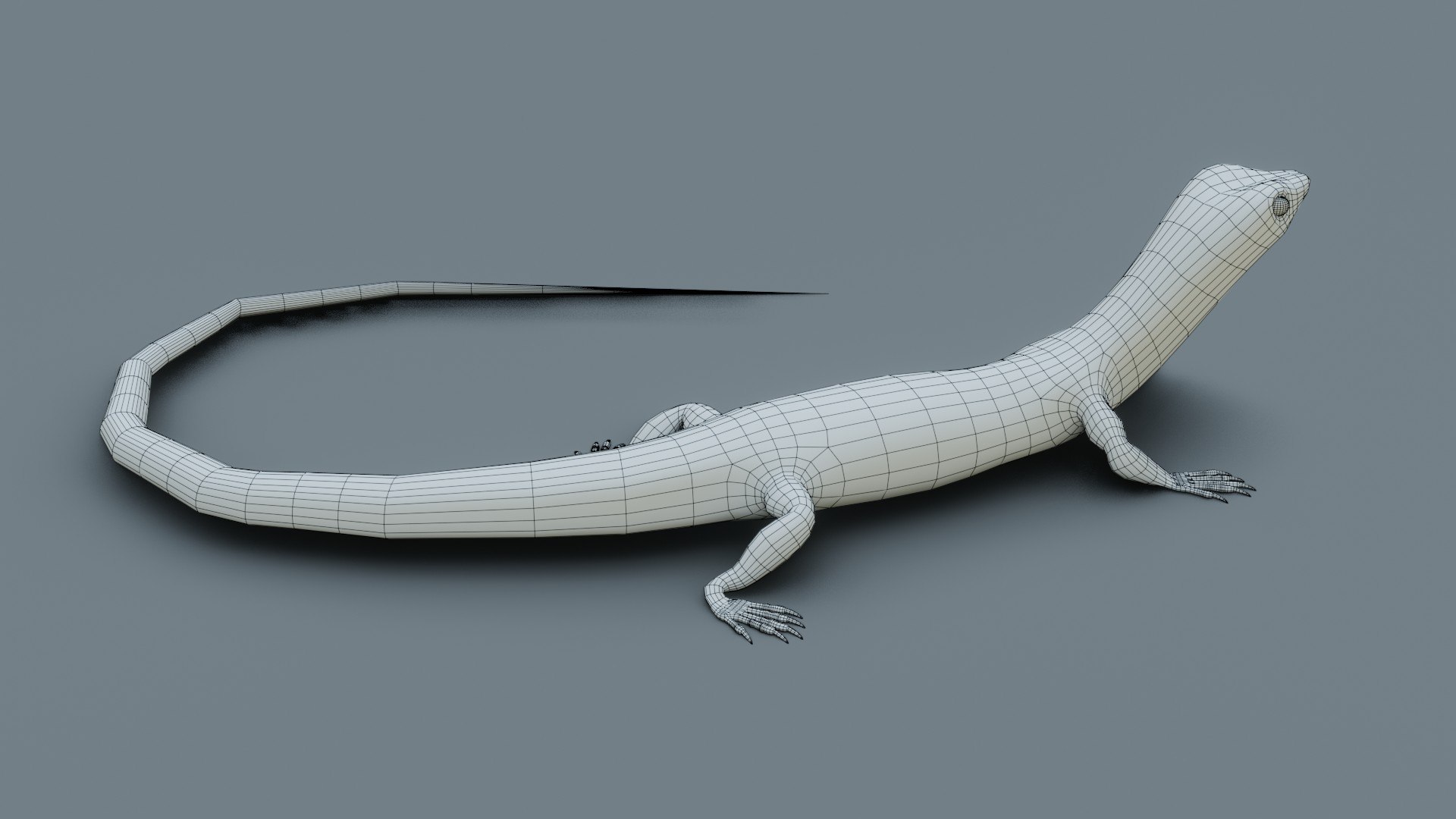 Lizard - Low Poly - Game Ready - PBR - Rigged - PBR 3D Model ...
