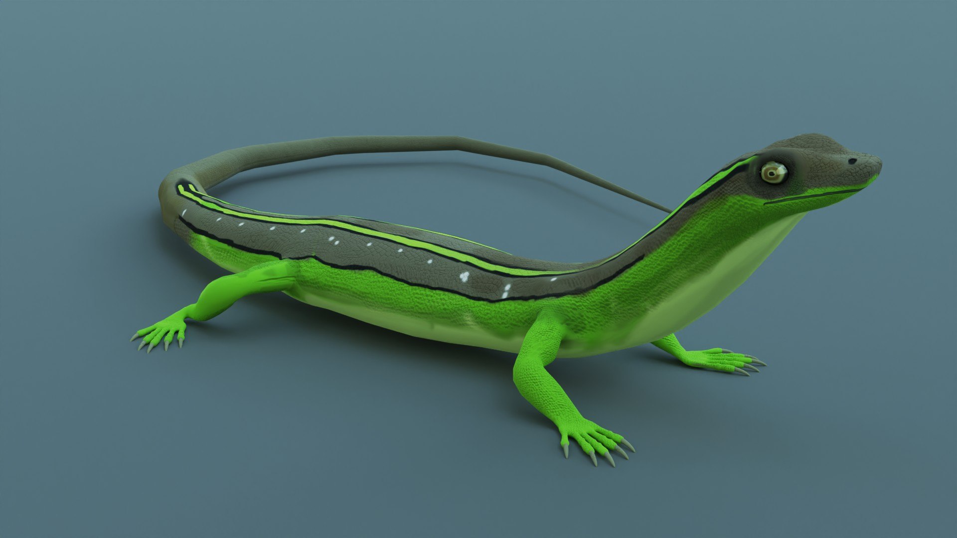 Lizard - Low Poly - Game Ready - PBR - Rigged - PBR 3D Model ...