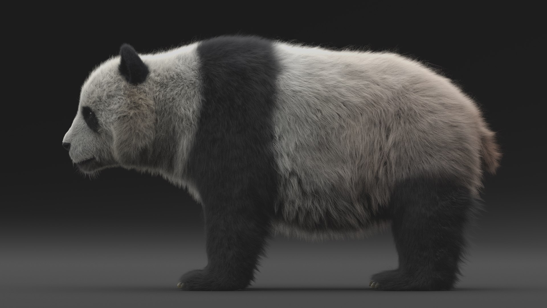 Panda Fur Modeled 3D Model - TurboSquid 1535958