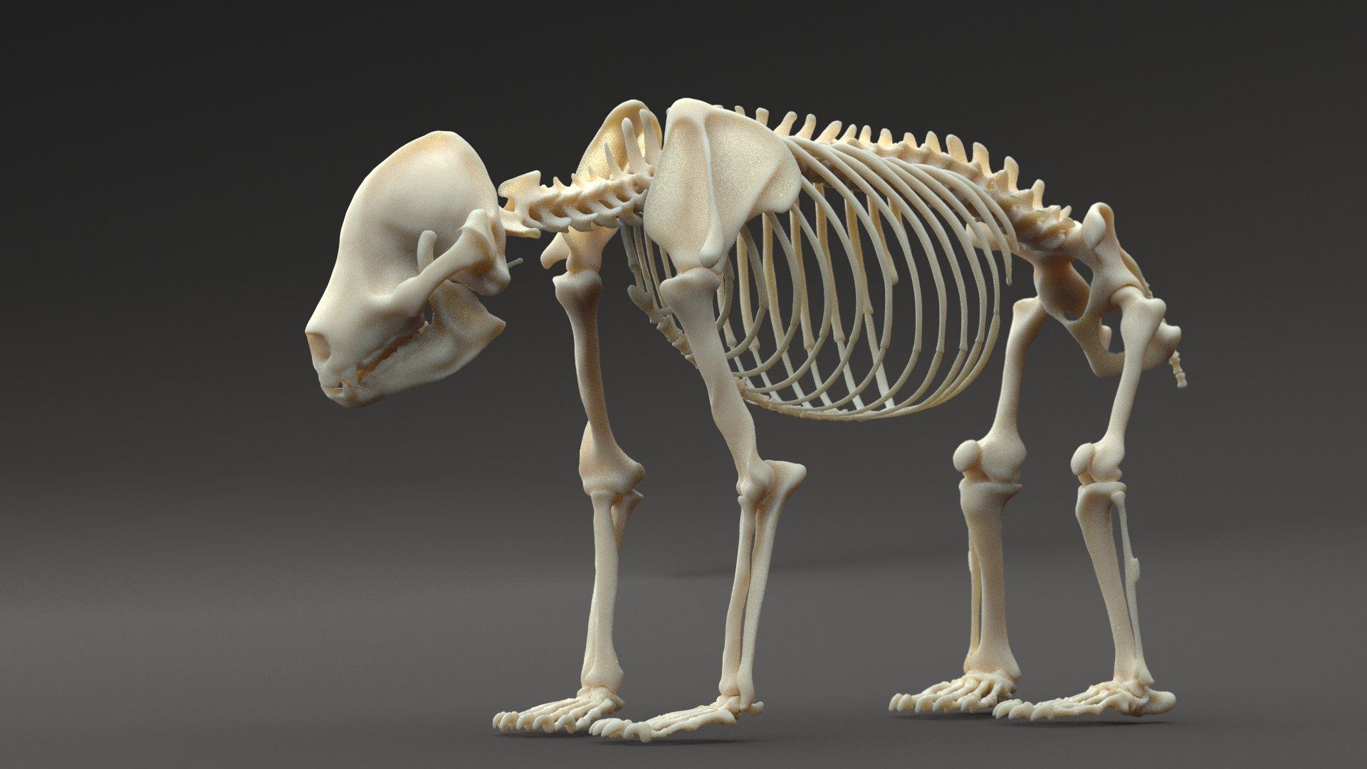 Panda Fur Modeled 3D Model - TurboSquid 1535958