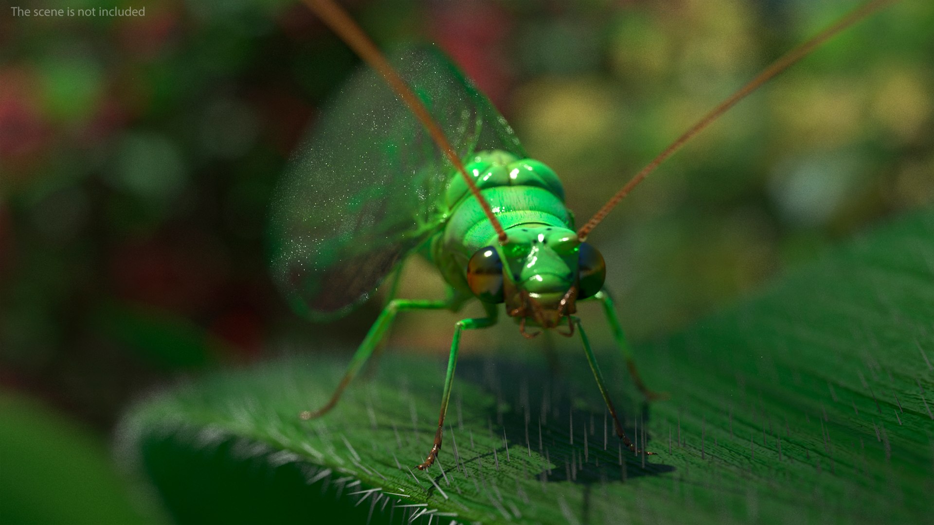 Insect Green Lacewing Fur 3D Model - TurboSquid 2167676