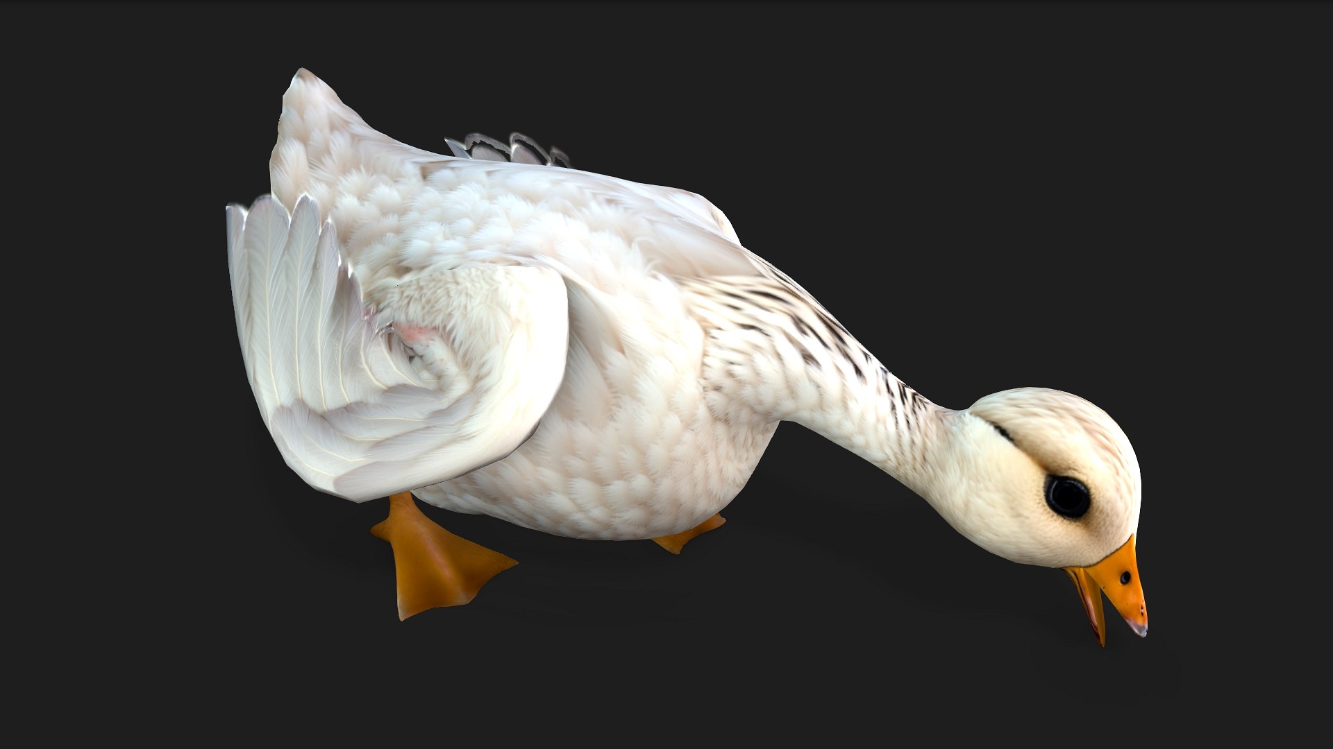 Duck-A1 3D Model - TurboSquid 2428937