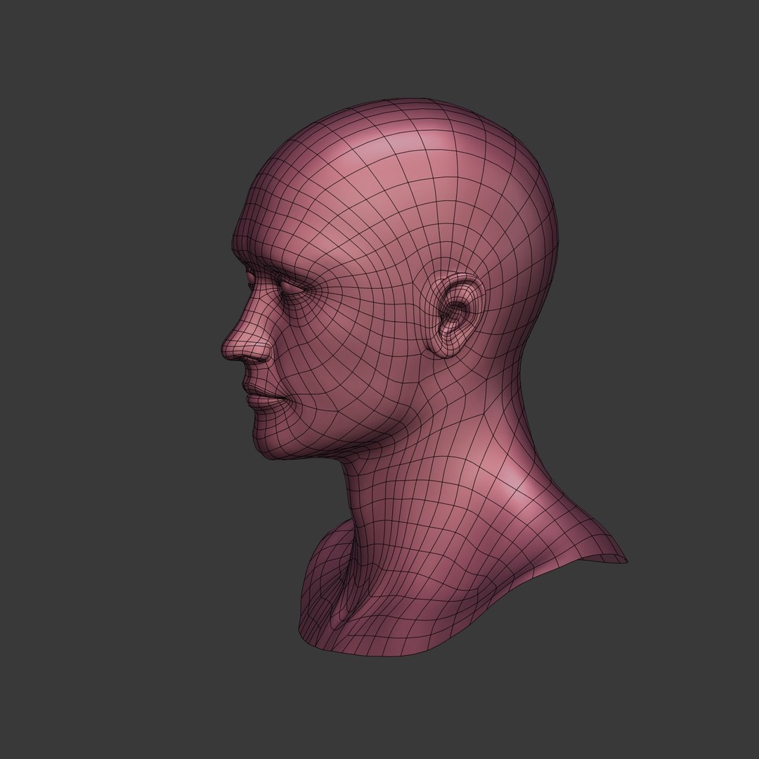 Man Head 3D Model - TurboSquid 1464181