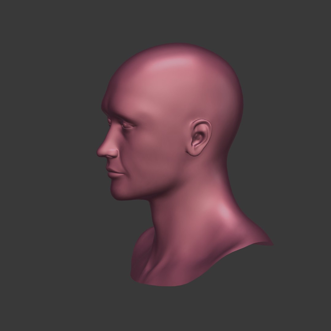 Man Head 3D Model - TurboSquid 1464181