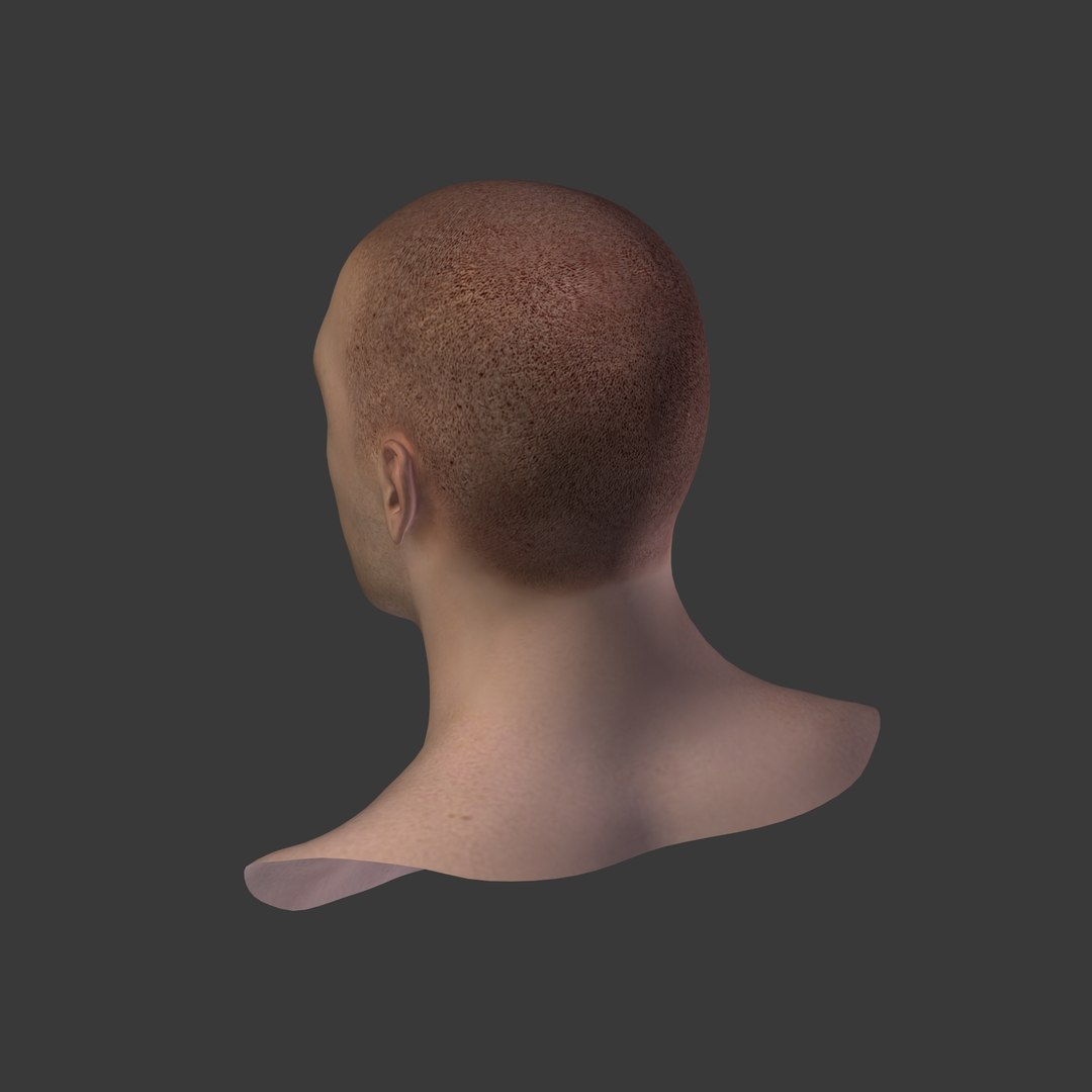 Man Head 3D Model - TurboSquid 1464181