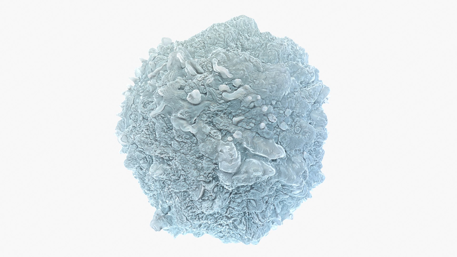 3D White T Cells Model - TurboSquid 1756792
