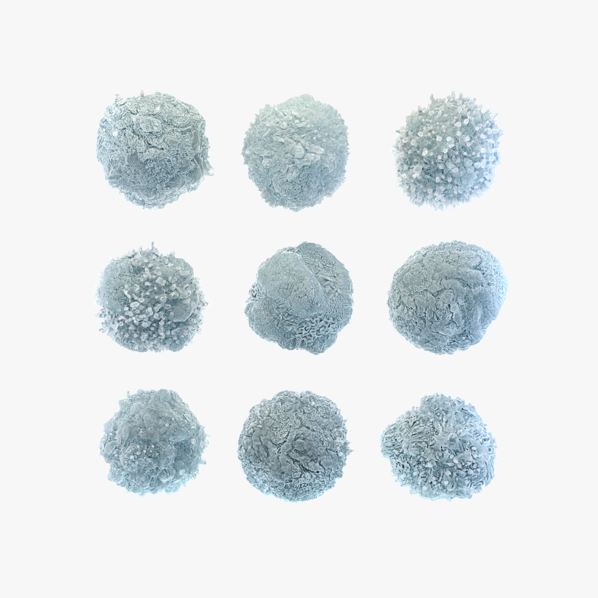 3D White T Cells model - TurboSquid 1756792