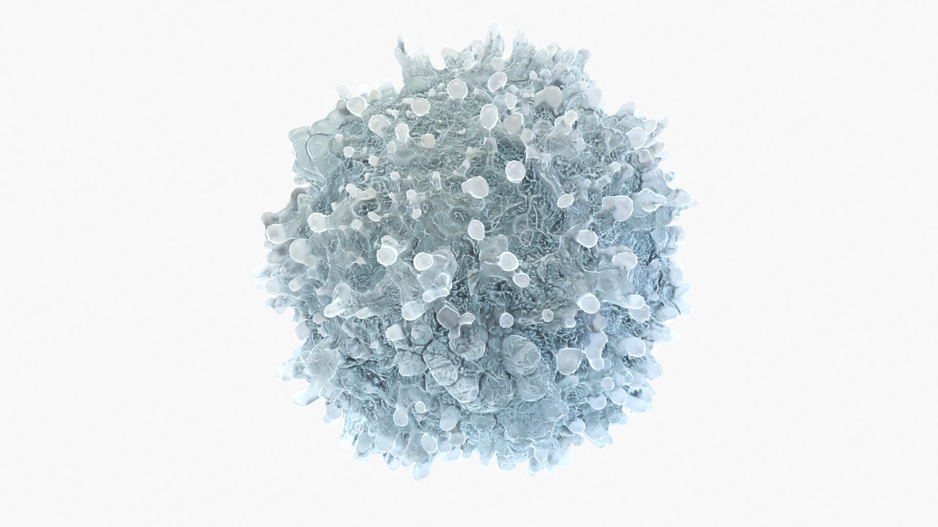 3D White T Cells Model - TurboSquid 1756792