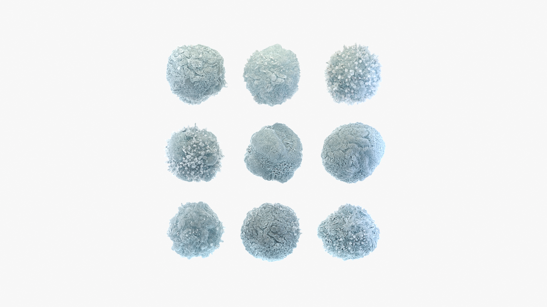 3D White T Cells Model - TurboSquid 1756792