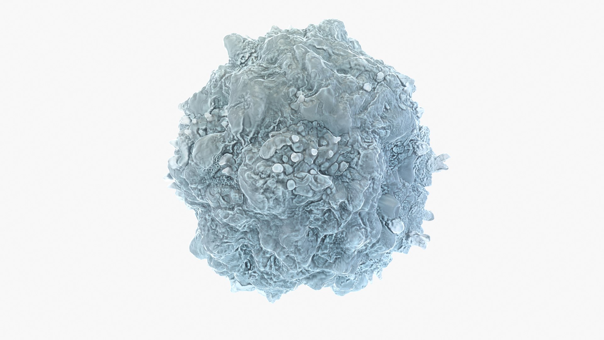 3D White T Cells Model - TurboSquid 1756792