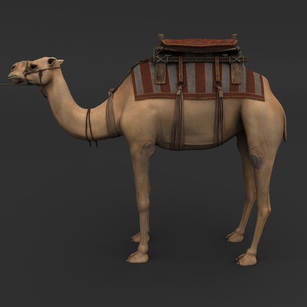 3D camel caravan model - TurboSquid 1387017