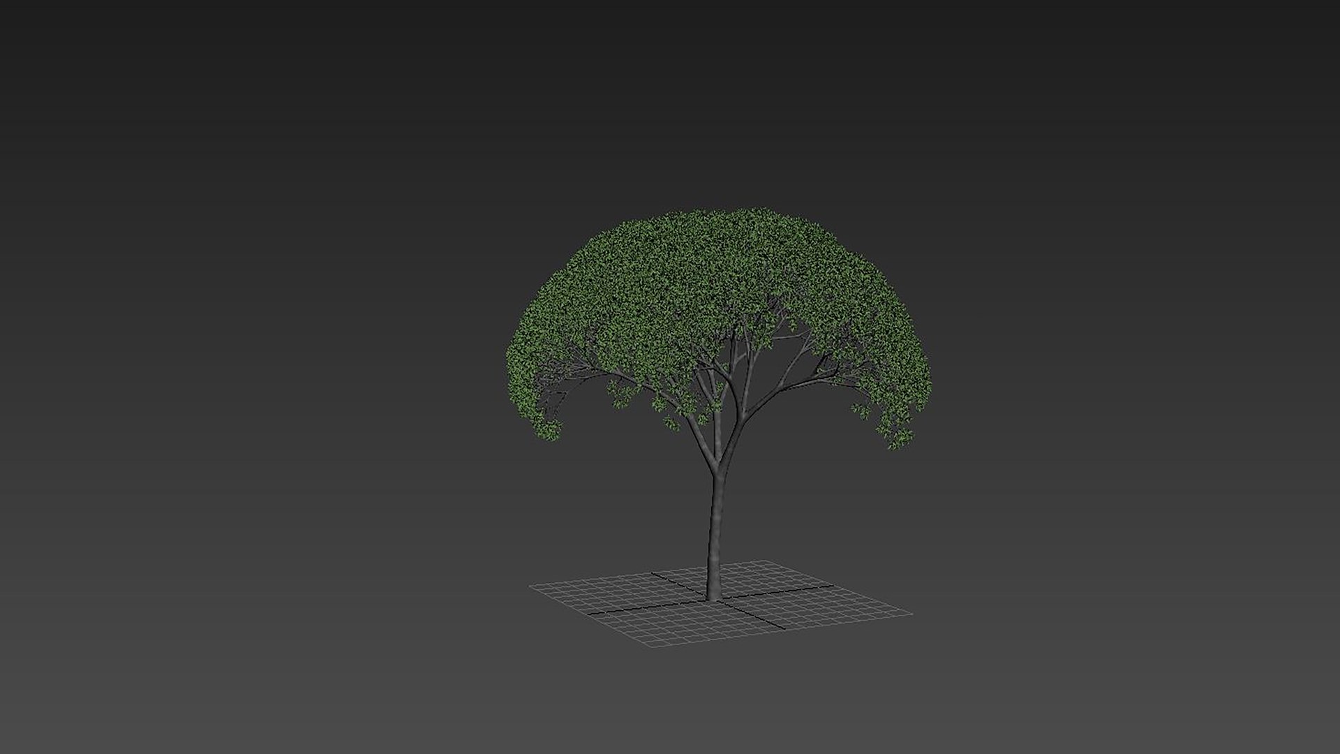 Willow Tree 3D Model - TurboSquid 1666965