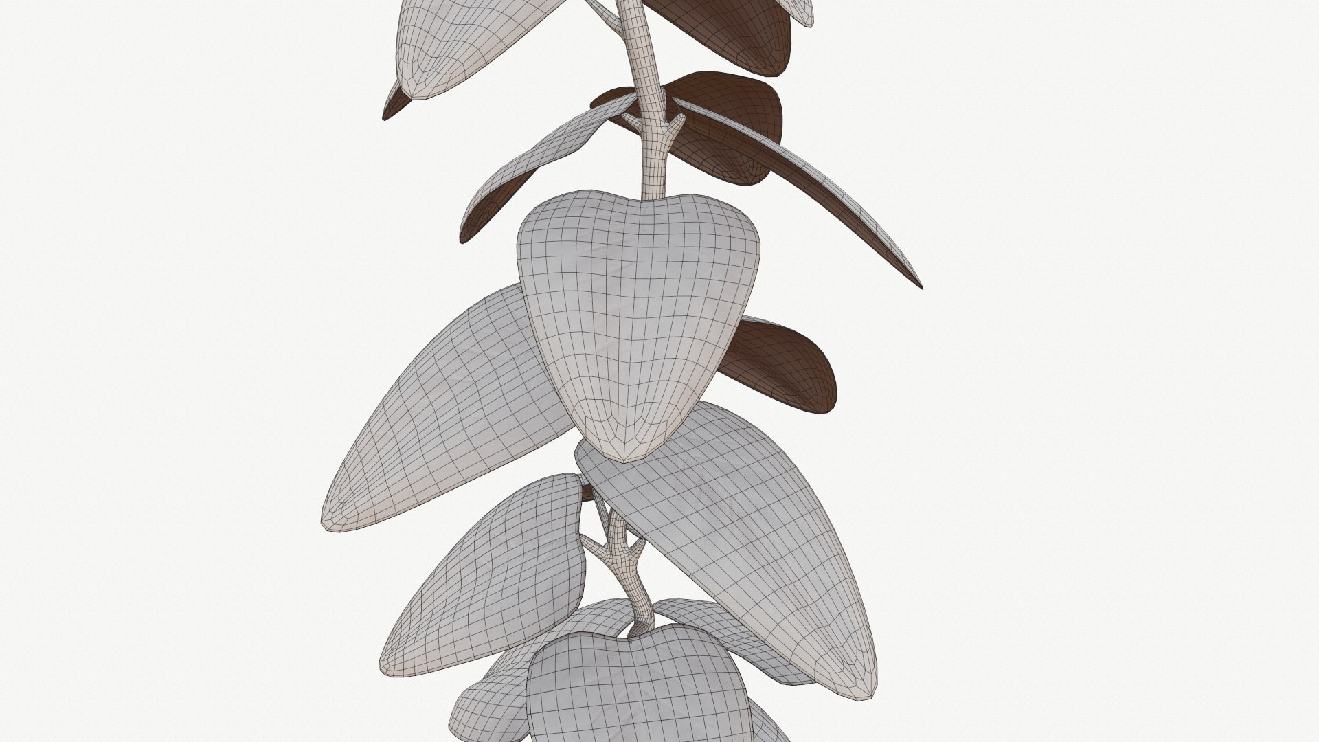 Indoor Plant Model - TurboSquid 1536338