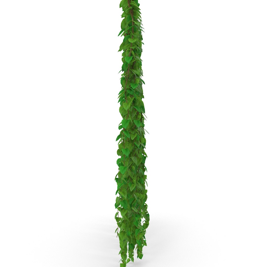 Wall Vines 3D Model - TurboSquid 1236023