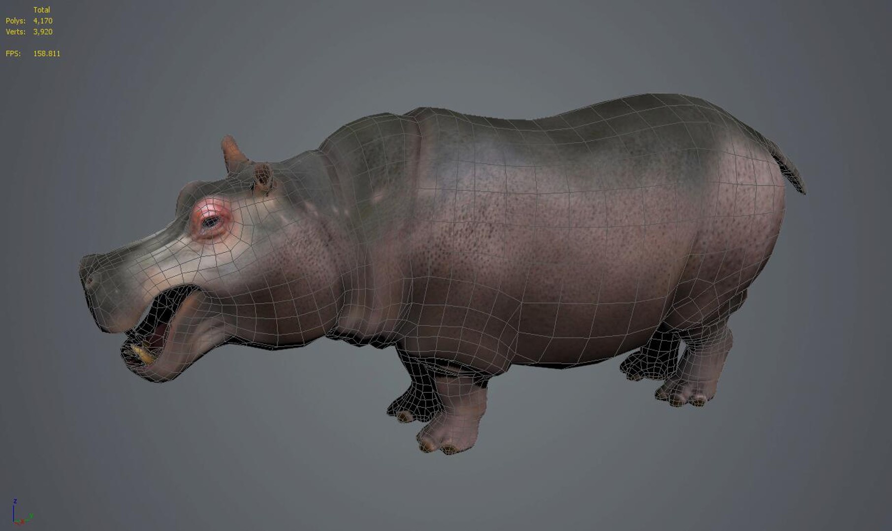 3D Realistic Hippos African Herbivores - TurboSquid 1617669