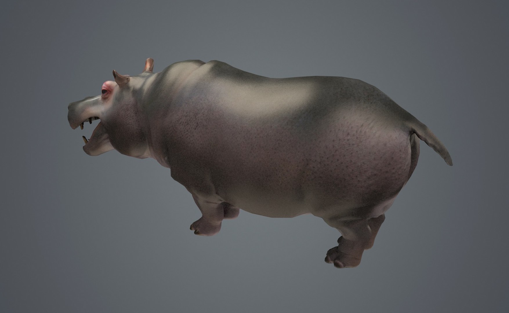 3D Realistic Hippos African Herbivores - TurboSquid 1617669