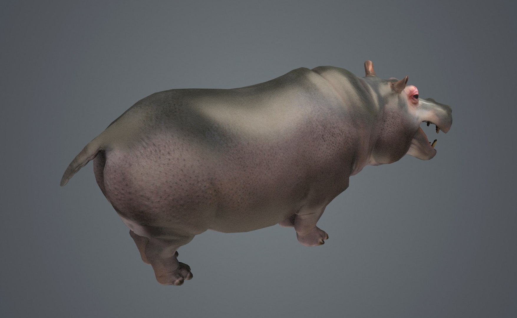 3D Realistic Hippos African Herbivores - TurboSquid 1617669