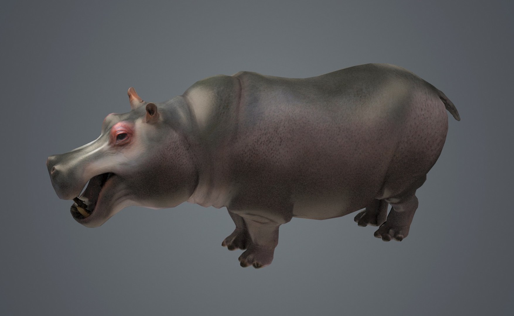 3D Realistic Hippos African Herbivores - TurboSquid 1617669