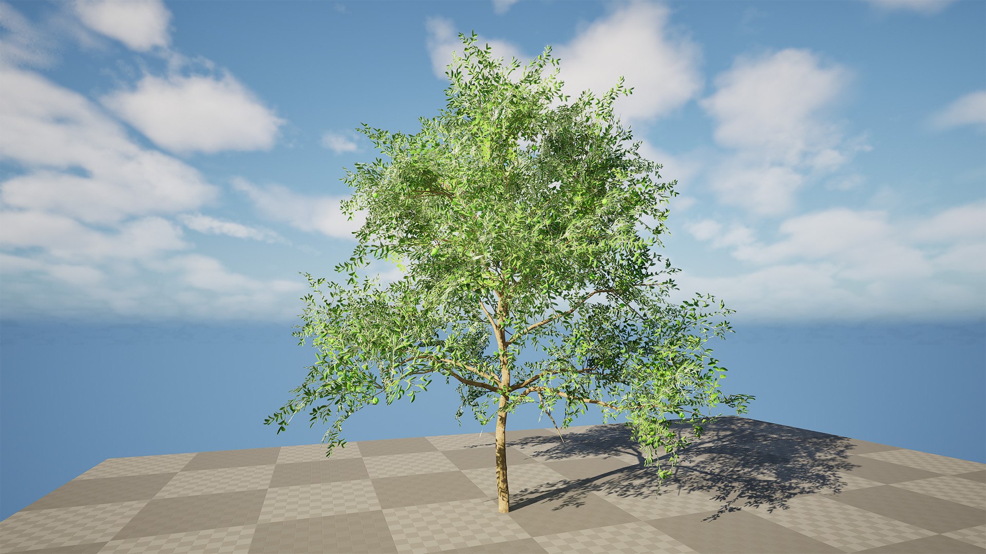 3D Guava Tree 3D Model - TurboSquid 2309313