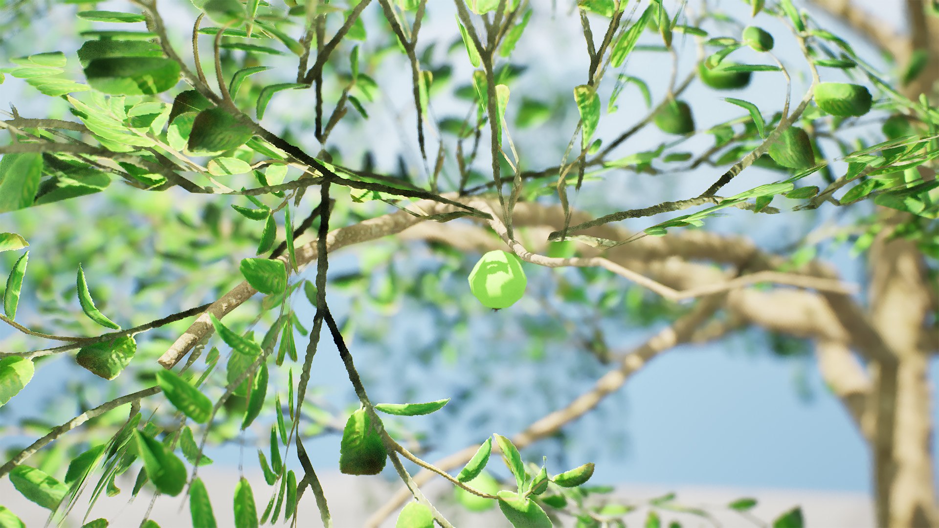 3D Guava Tree 3D Model - TurboSquid 2309313