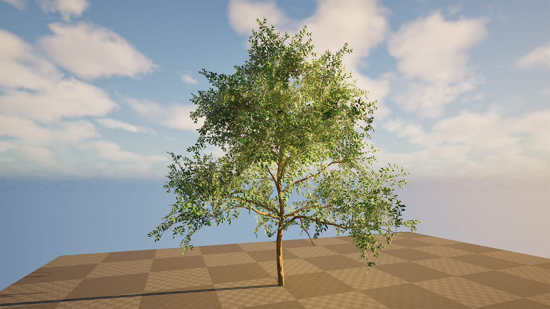 3D Guava Tree 3D Model - TurboSquid 2309313