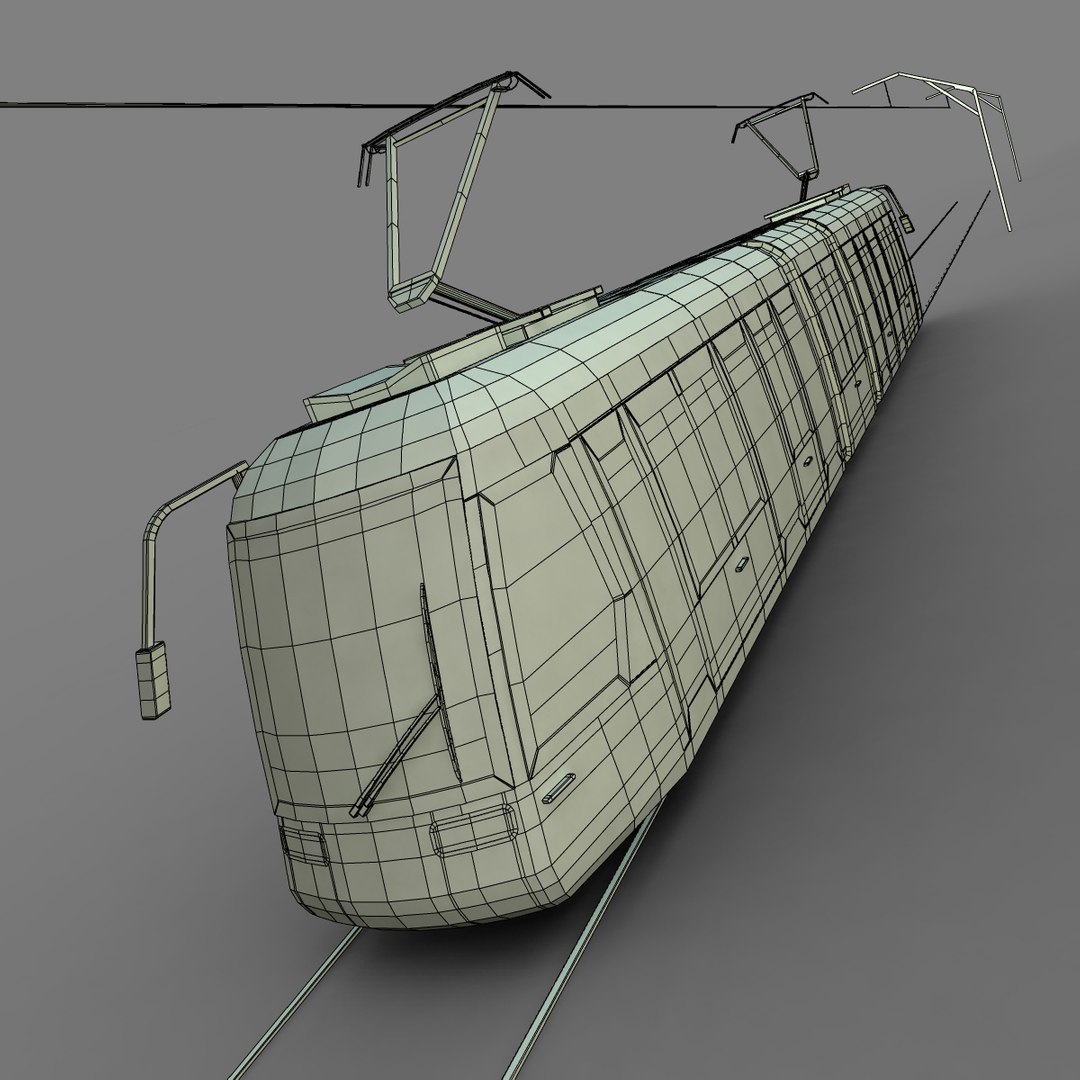 Maya Train Passenger