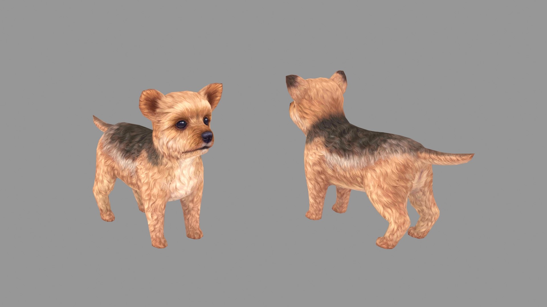 3D Model Cartoon Pet Puppy - Yorkshire - Baby Dog - TurboSquid 1717802