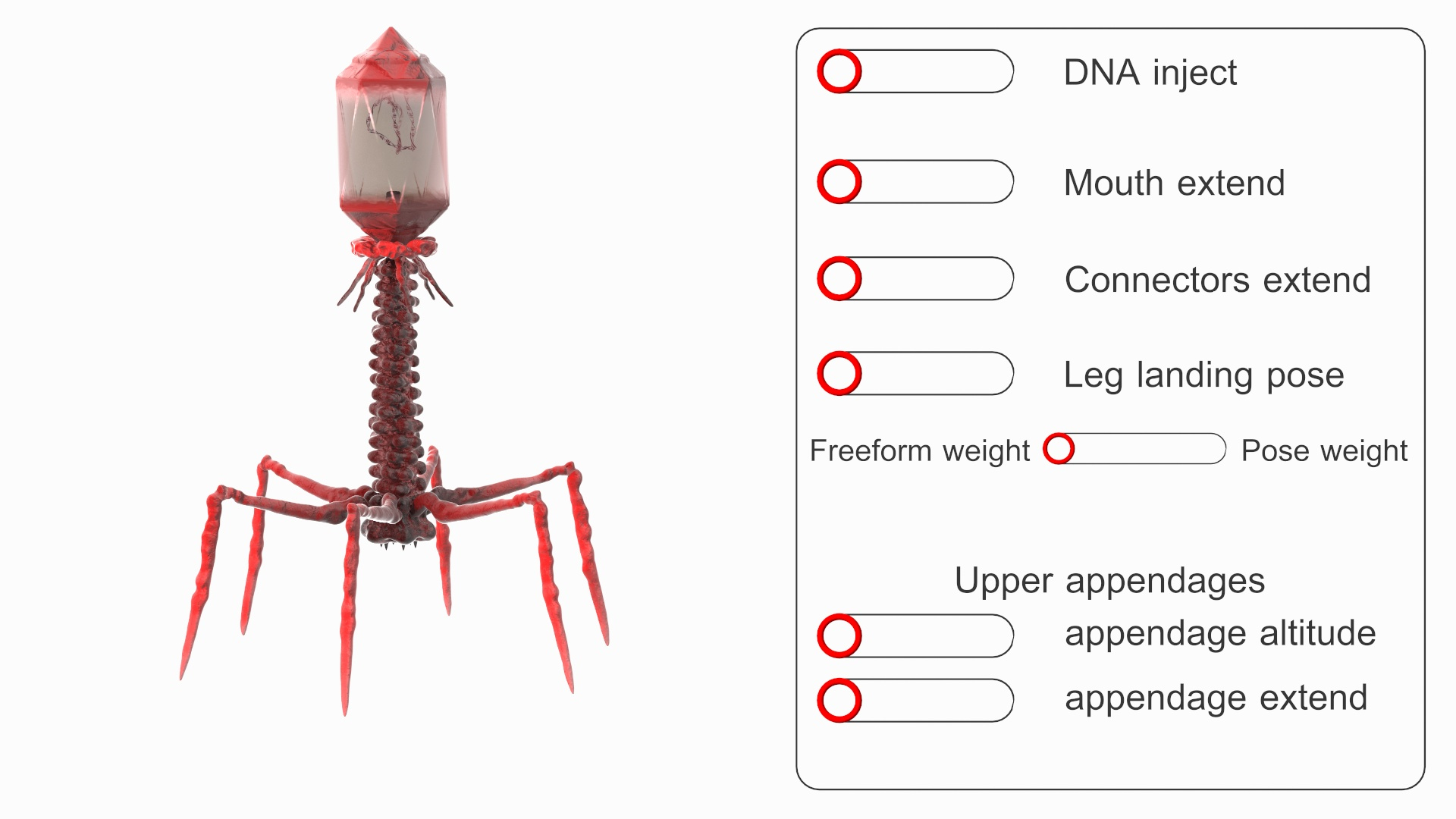3D Helicobacter Pylori Bacteria With Bacteriophage Virus Animated ...