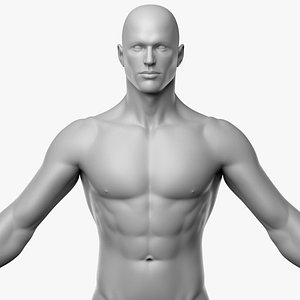 Realistic Low Poly Man Body Basemesh model - TurboSquid 2014792