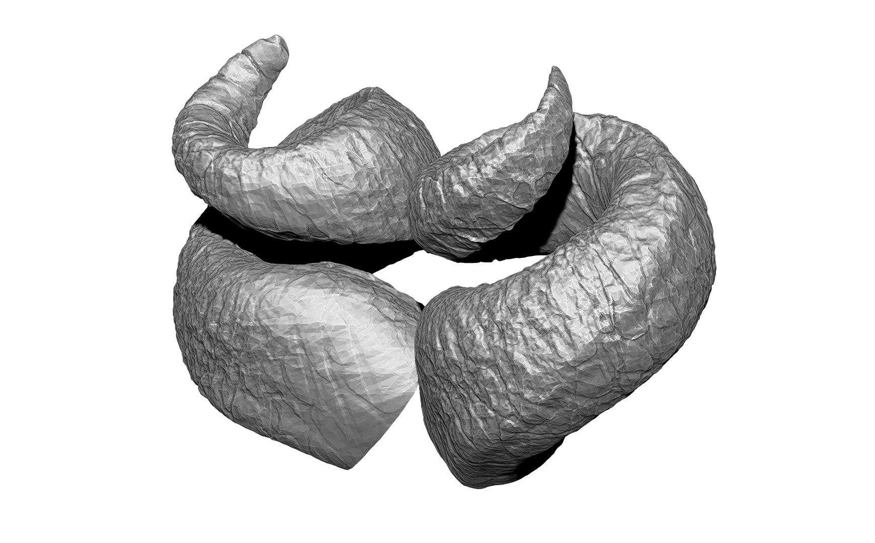 3D HORN 8 High Poly Sculpt 3D Model - TurboSquid 2257649