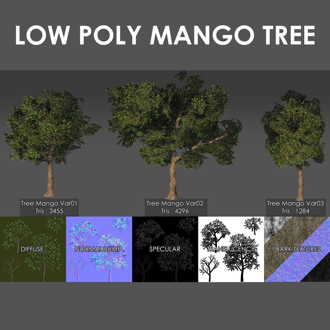 Free 3D Mango Tree Pack Model - TurboSquid 1206038