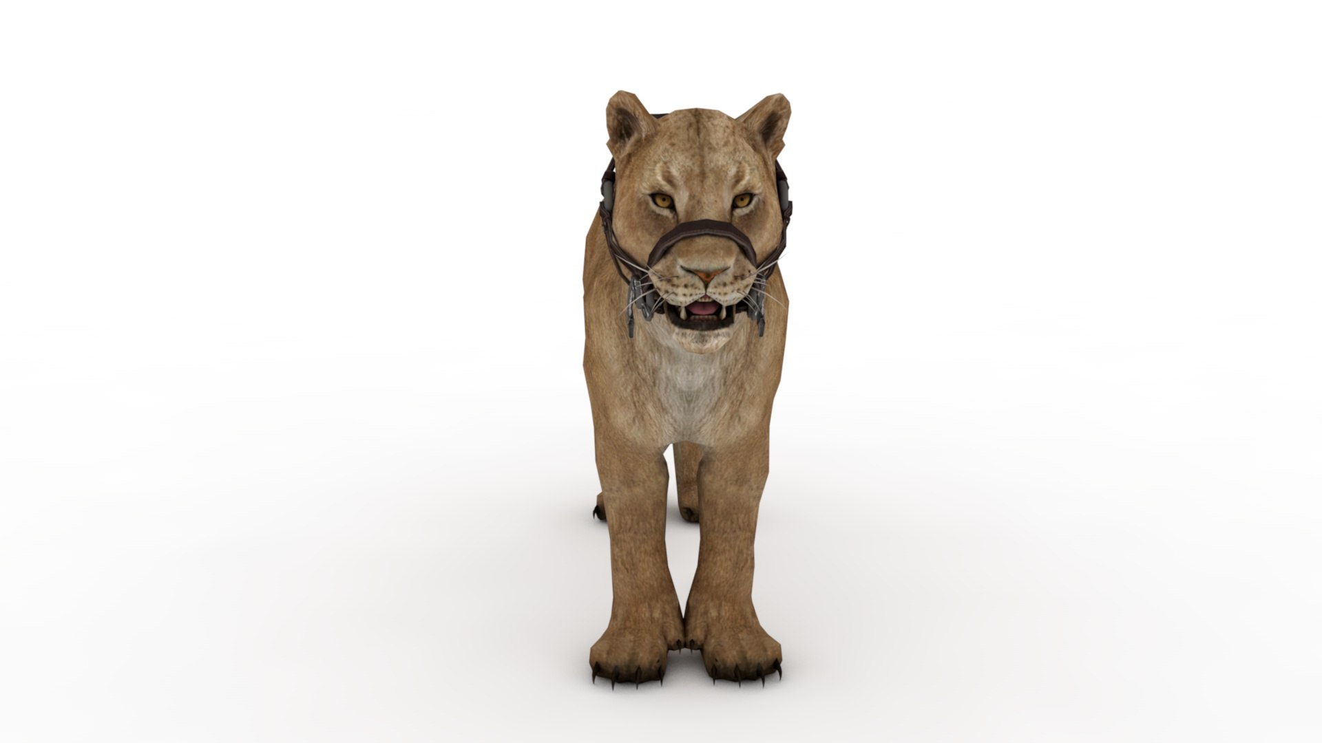 Lioness 3D Model - TurboSquid 1947009