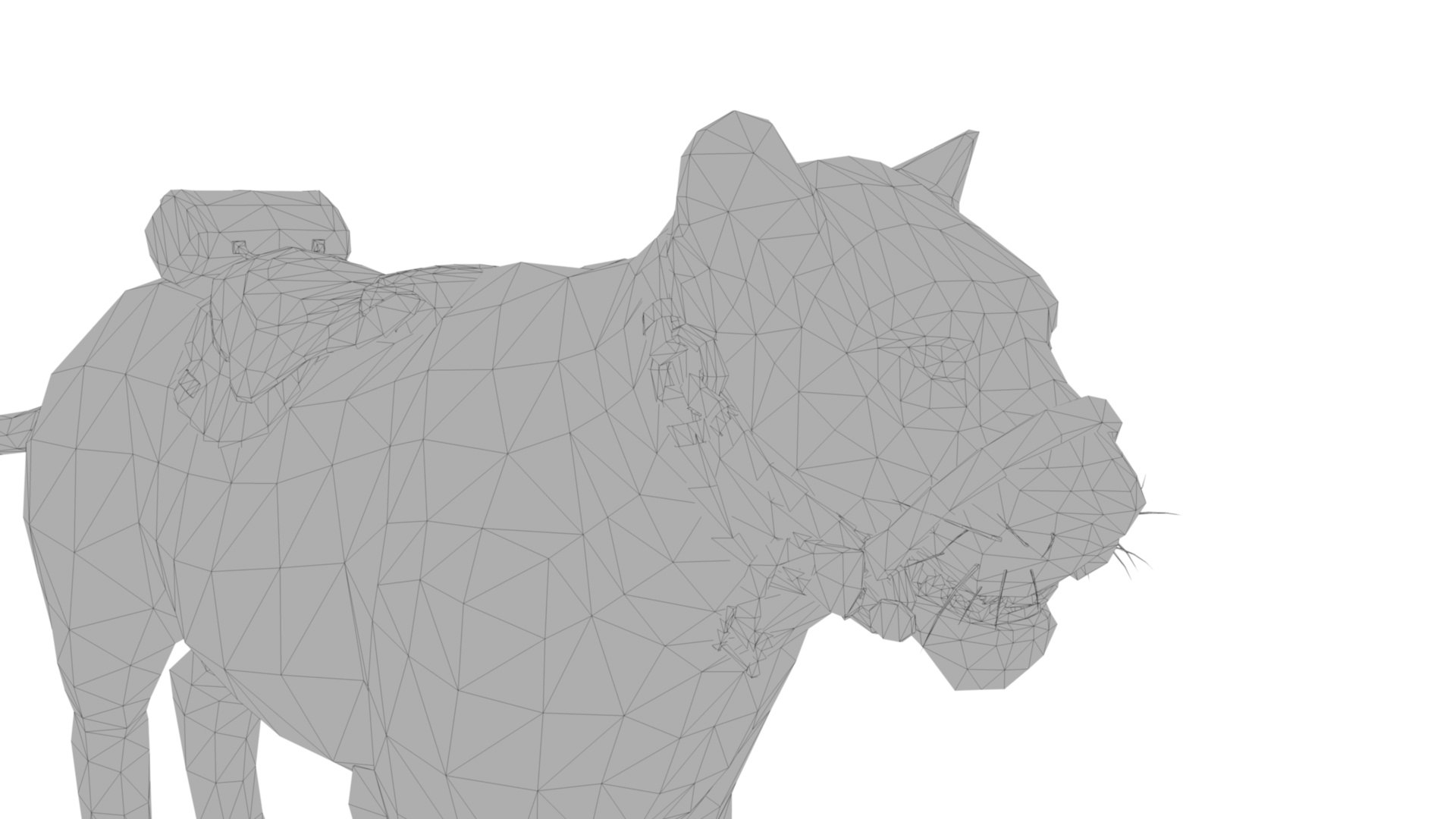 Lioness 3D Model - TurboSquid 1947009