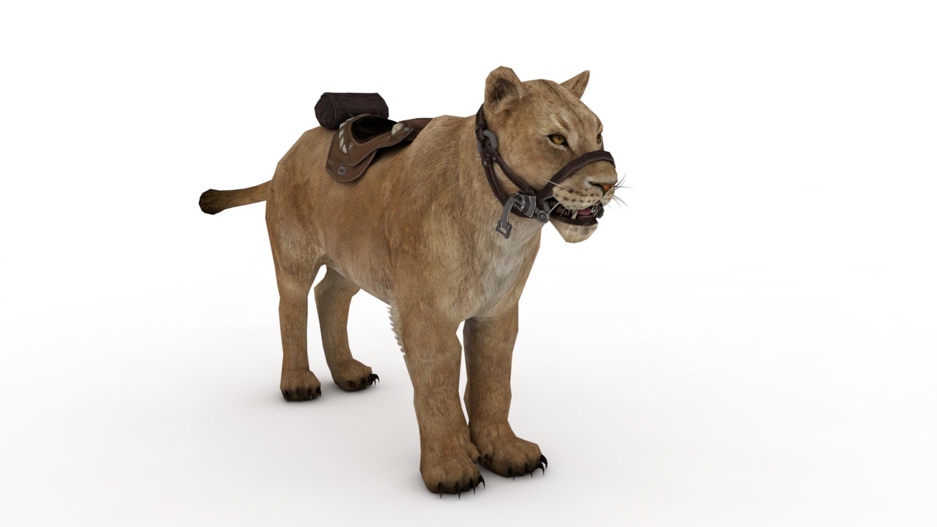 Lioness 3D Model - TurboSquid 1947009